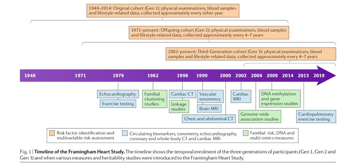 History | Framingham Heart Study